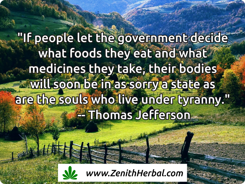 Everything You Need To Know About Bloodroot History: Zenith Herbal