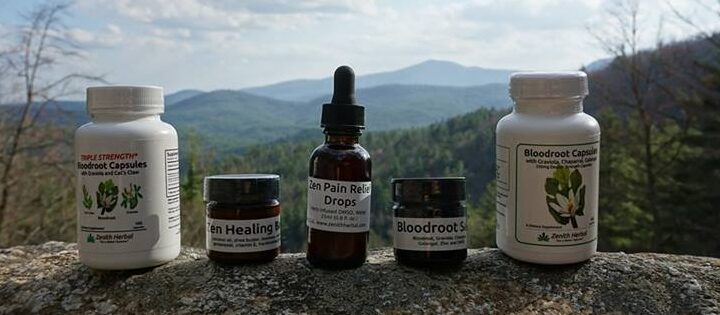 Shop for Bloodroot Salve and Capsules