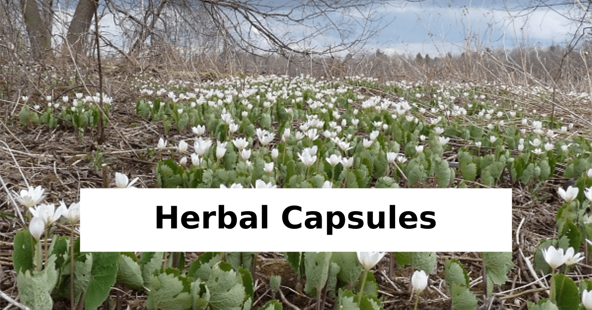 Herbal Capsules : Zenith Herbal - We are all about Bloodroot!
