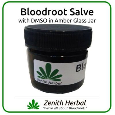 Bloodroot Uses: Medicinal And Herbal Benefits | Zenith Herbal