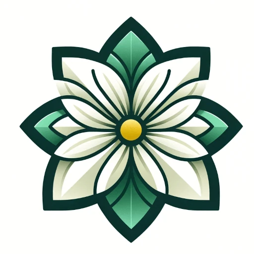 Using Black Salve (Cansema) Effectively: Elevate your Wellness Journey ...