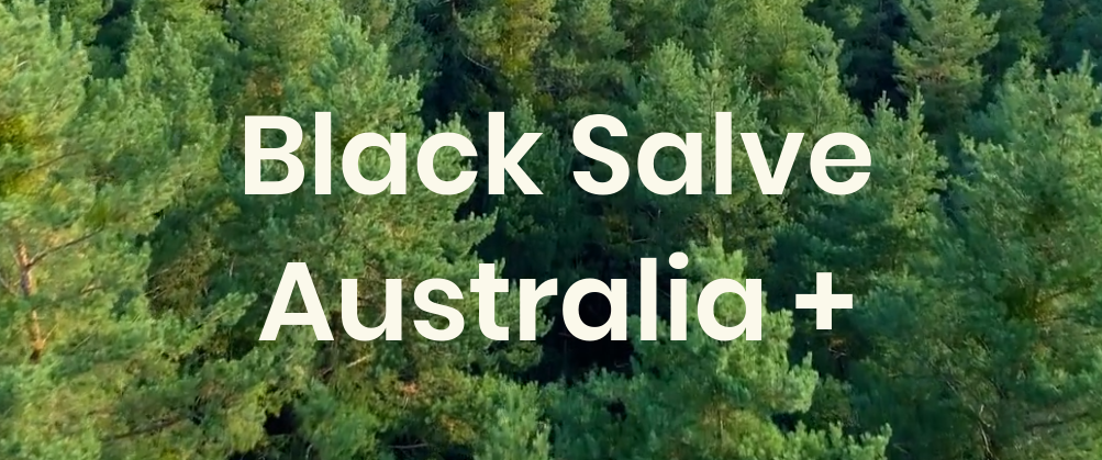 DIY Guide: How to Make Black Salve at Home | Zenith Herbal