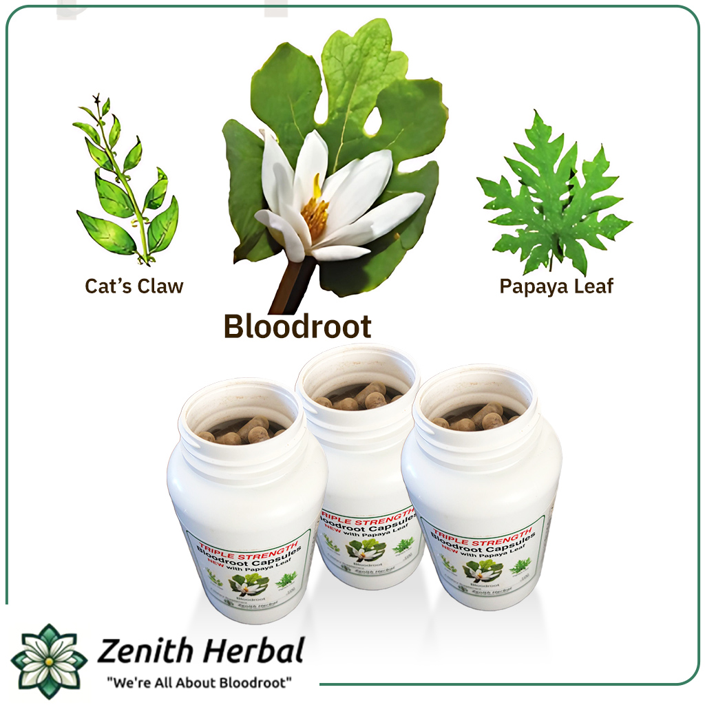 Bloodroot Capsules (Triple Strength) with Cat’s Claw and Papaya (opt ...